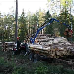 Small Timber Cranes and Trailers